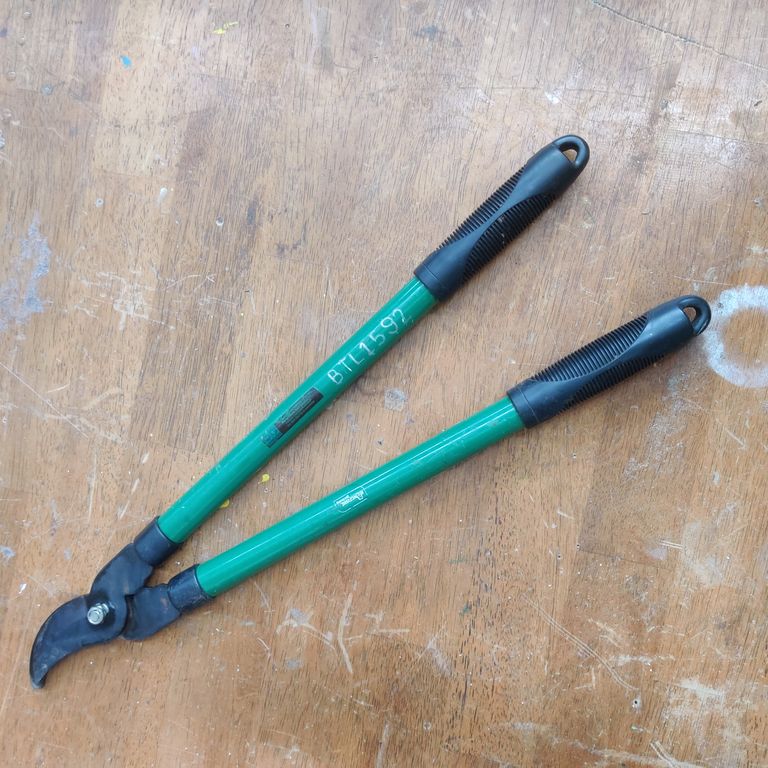 Belfast Tool Library: Branch Loppers